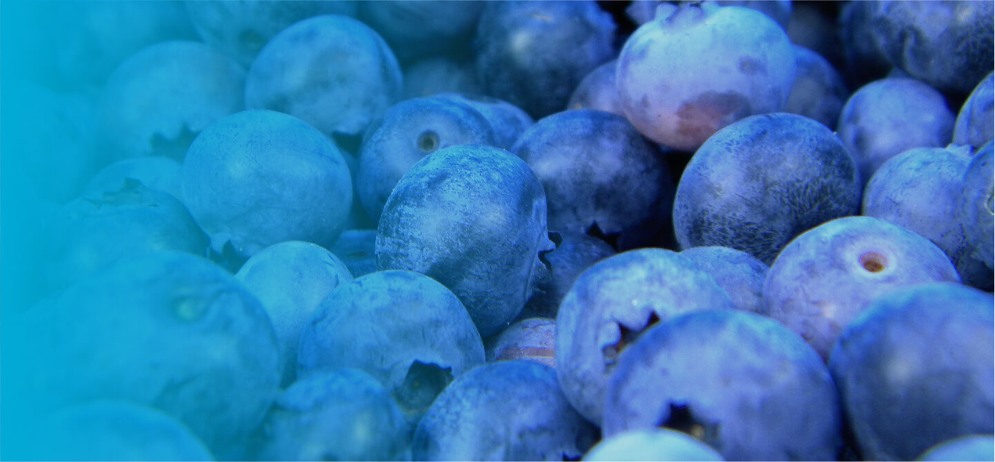 Airlife – Aire puro